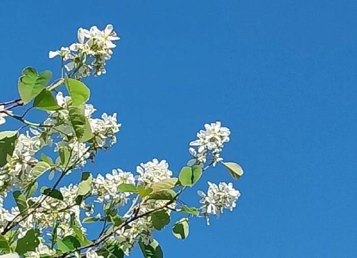 Mietelauseet ovat ikkuna inspiroiviin ajatuksiin :: Ikääntymisen Ihmeet